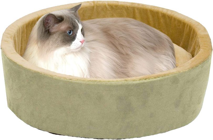 Best Maine Coon Cat Beds - MaineCoon.org