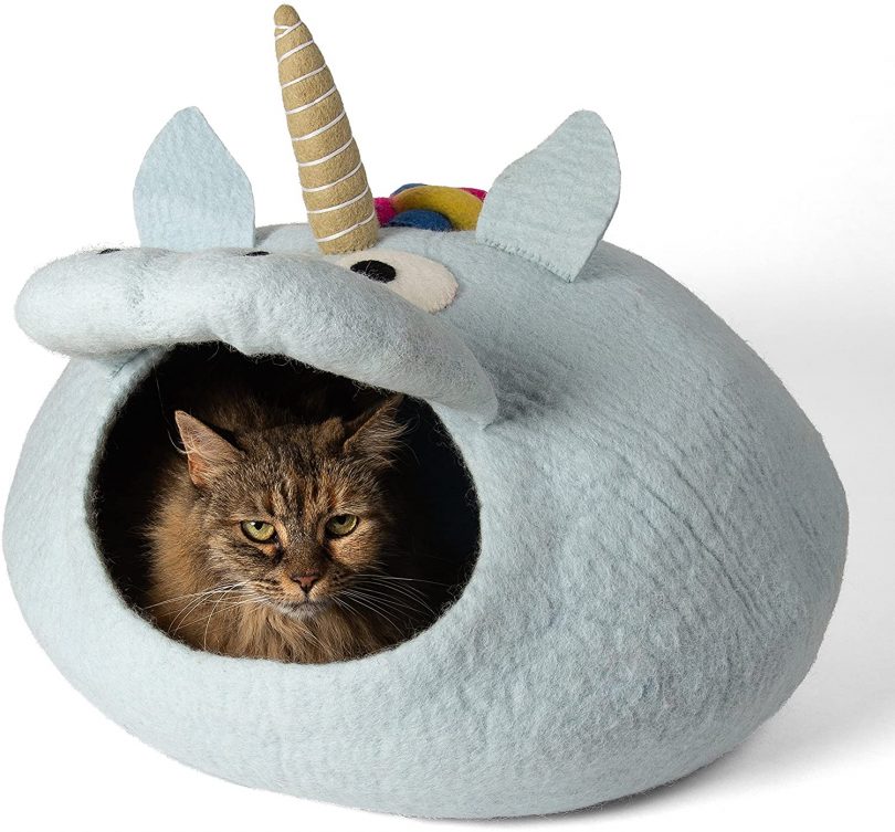 Best Maine Coon Cat Beds - MaineCoon.org