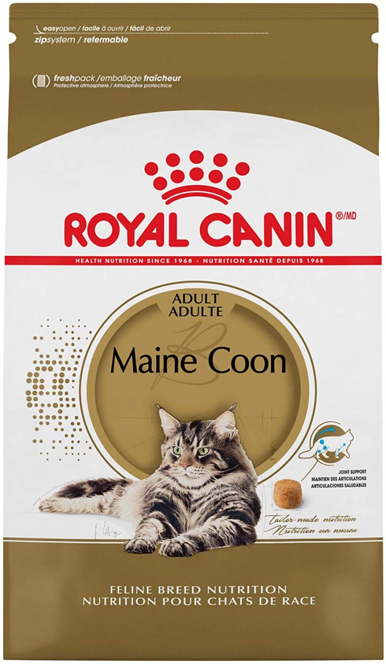 The 10 Best Maine Coon Cat Foods - MaineCoon.org