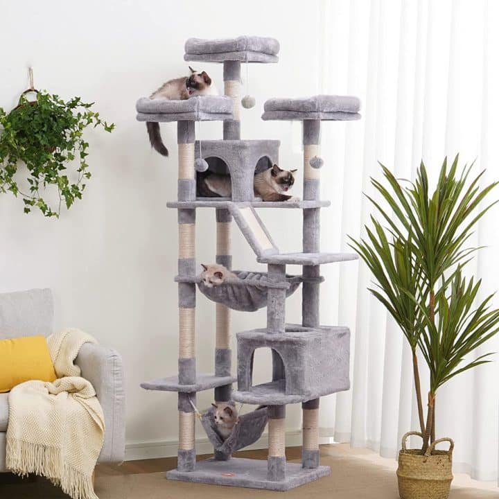 13 Best Cat Trees For Maine Coons in 2022 (Cat Tested!)