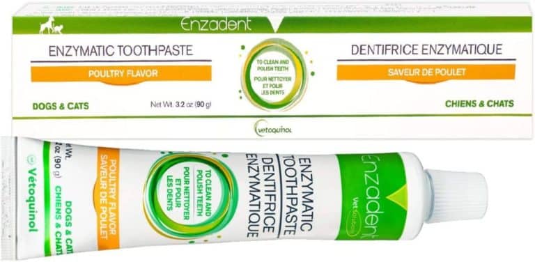 The 7 Best Natural Cat Toothpaste (Vet Approved) - MaineCoon.org