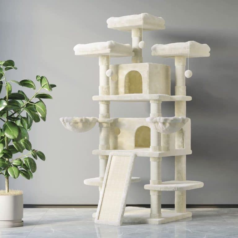13 Best Cat Trees For Maine Coons in 2022 (Cat Tested!)