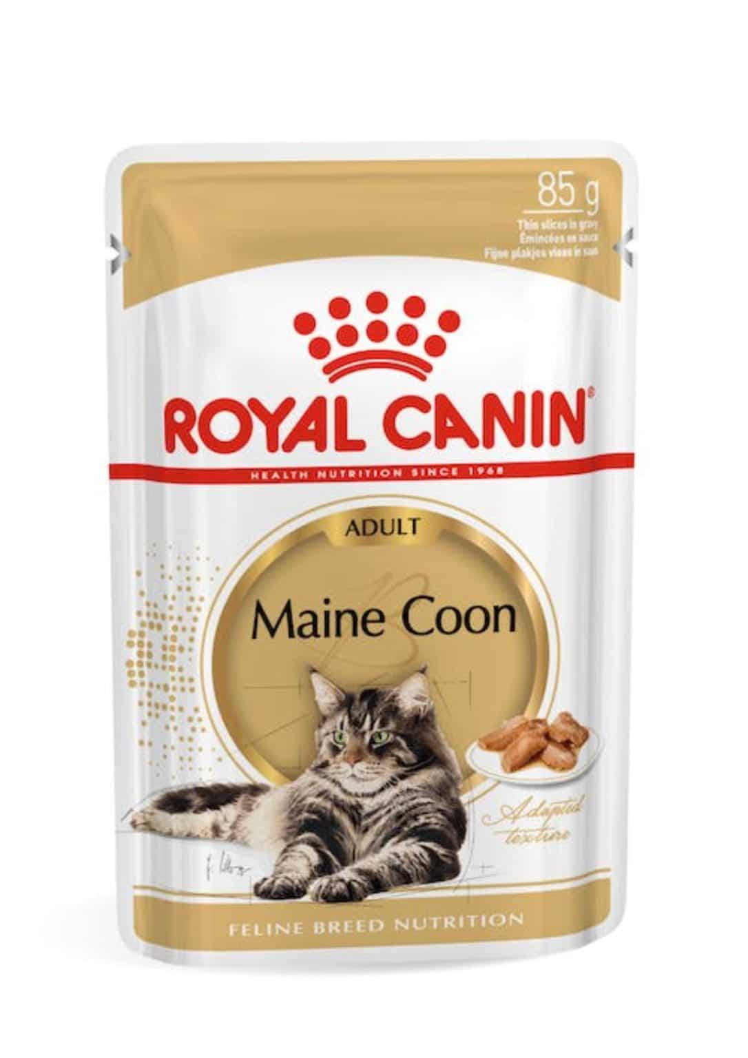 7 Best Wet Food for Maine Coon Cats - MaineCoon.org