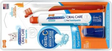 The 7 Best Natural Cat Toothpaste (Vet Approved) - MaineCoon.org