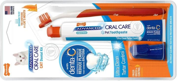 The 7 Best Natural Cat Toothpaste (Vet Approved) - MaineCoon.org