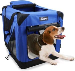 11 Best Pet Carriers For Maine Coons (Cat Tested!) - MaineCoon.org