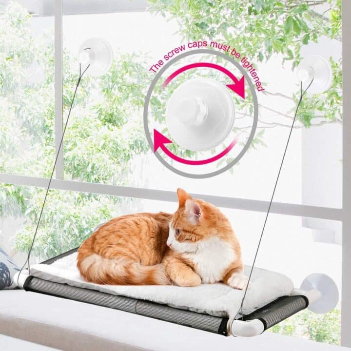 11 Cat Window Perches Your Cat Will Love - MaineCoon.org