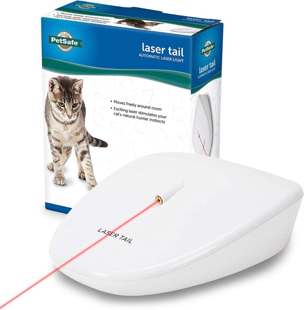 11 Best Laser Toys for Cats You'll Also Love - MaineCoon.org