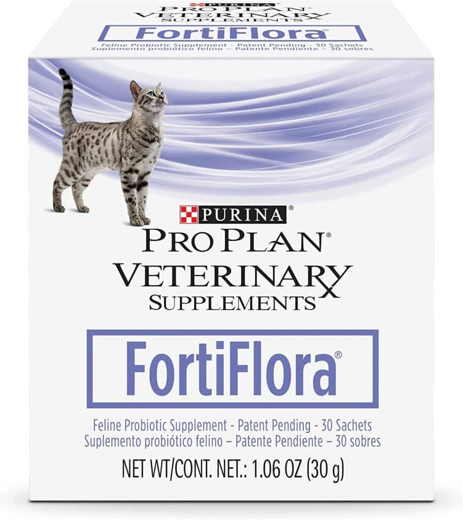 The 7 Best Probiotics for Cats (Dos and Donts) - MaineCoon.org