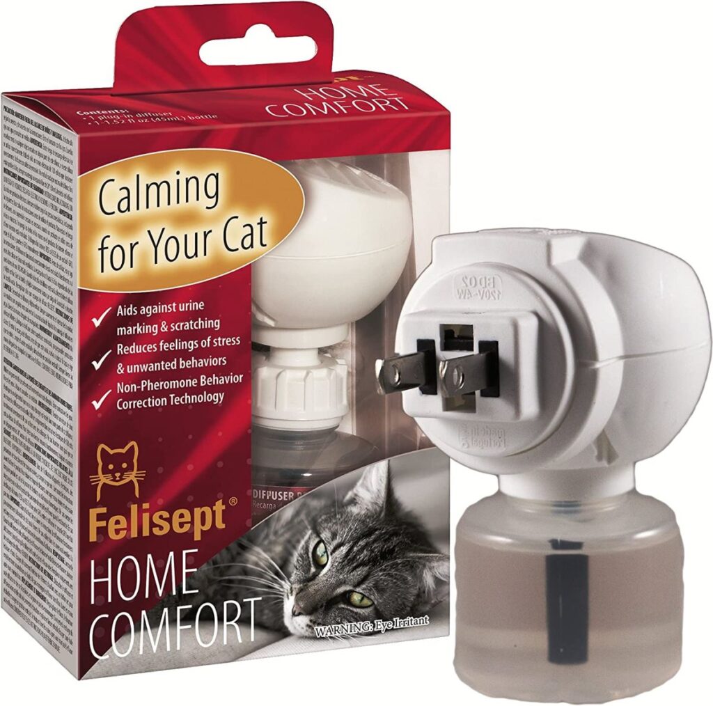 17 Calming Aids for Cats (Vet & Pet Approved) - MaineCoon.org
