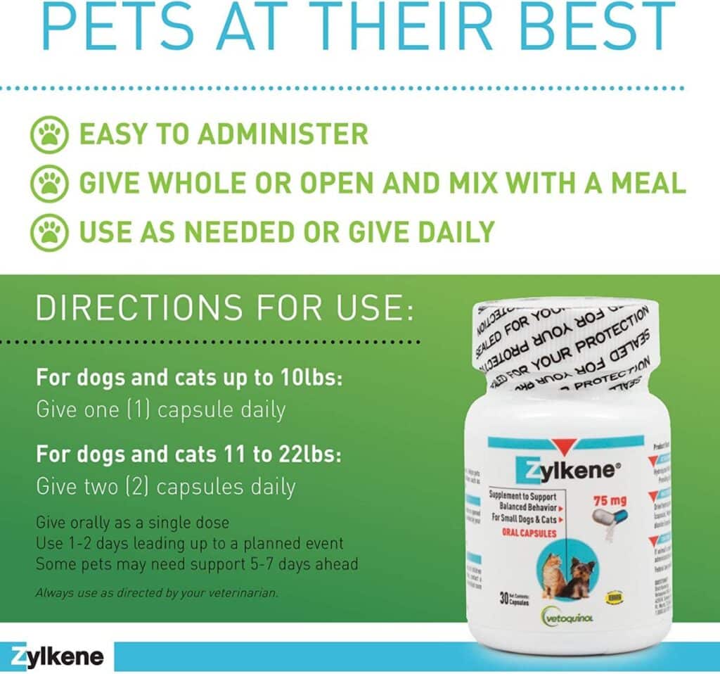 17 Calming Aids for Cats (Vet & Pet Approved) - MaineCoon.org
