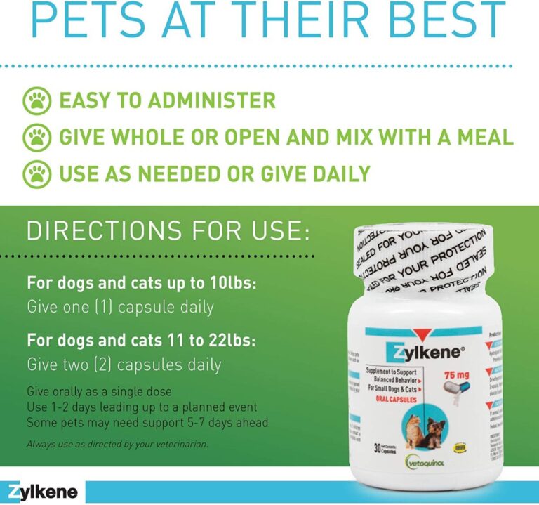 17 Calming Aids for Cats (Vet & Pet Approved) - MaineCoon.org