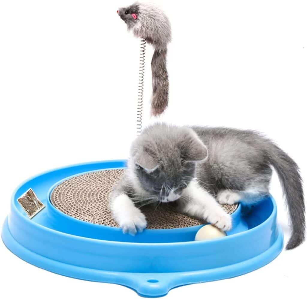 17 Best Cat Toys for Bored Cats (Entertainment Guaranteed) - MaineCoon.org