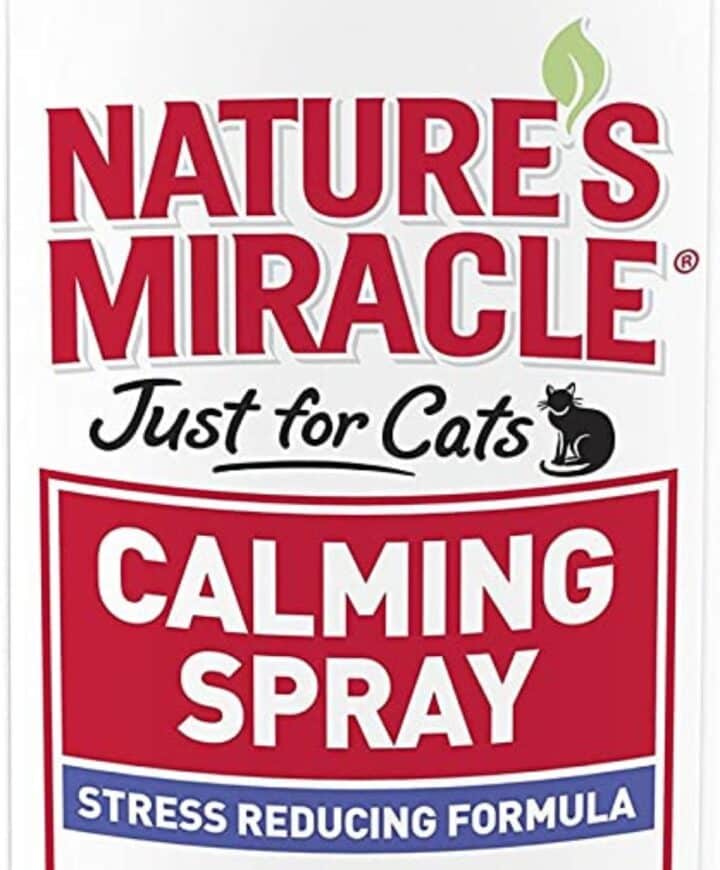 17 Calming Aids for Cats (Vet & Pet Approved) - MaineCoon.org