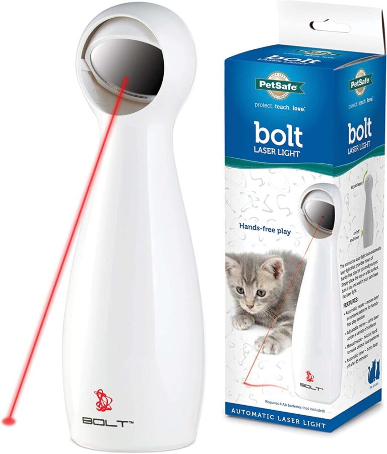 11 Best Laser Toys for Cats You'll Also Love - MaineCoon.org