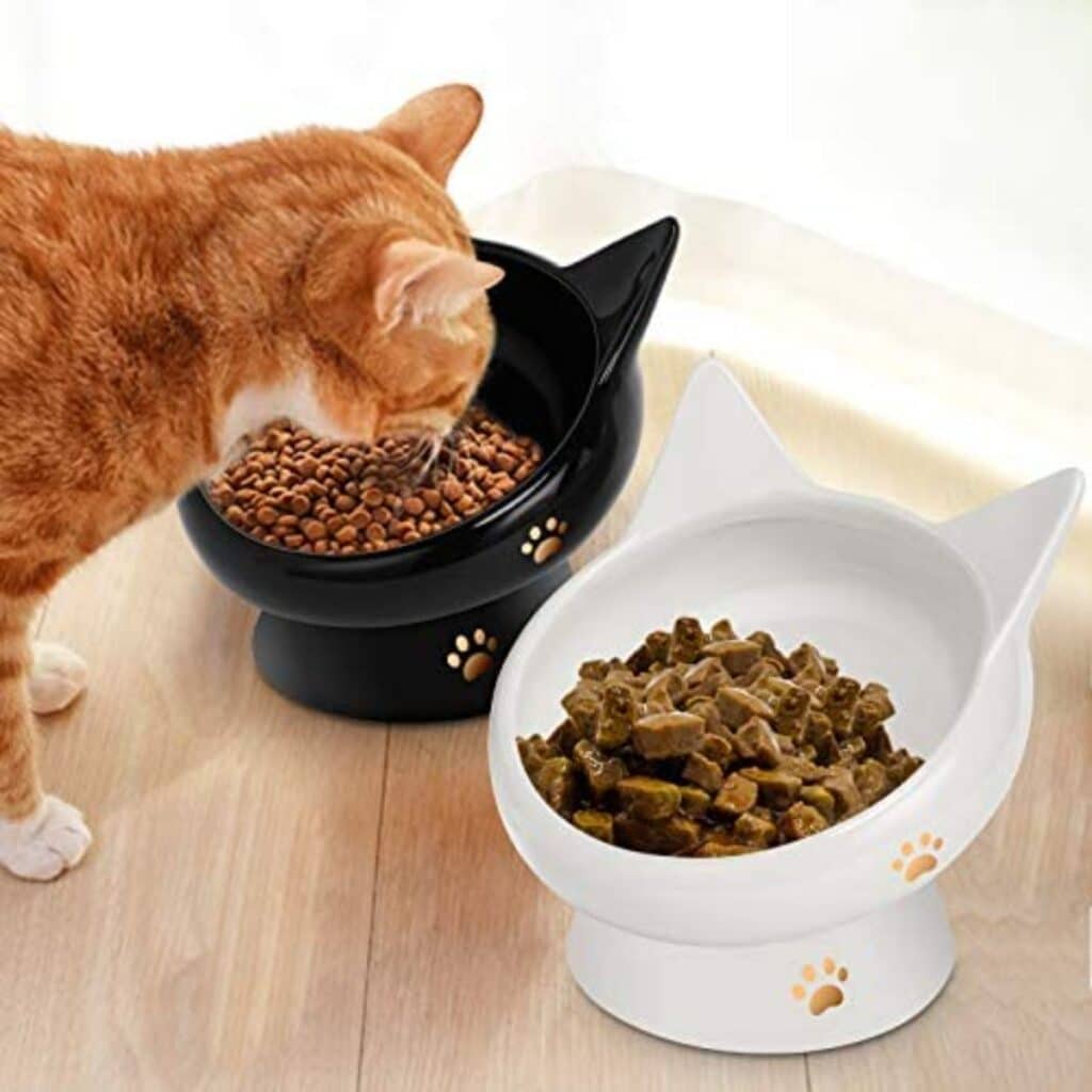 7 Best Food Bowls for Cats (For Messy Eaters) - MaineCoon.org