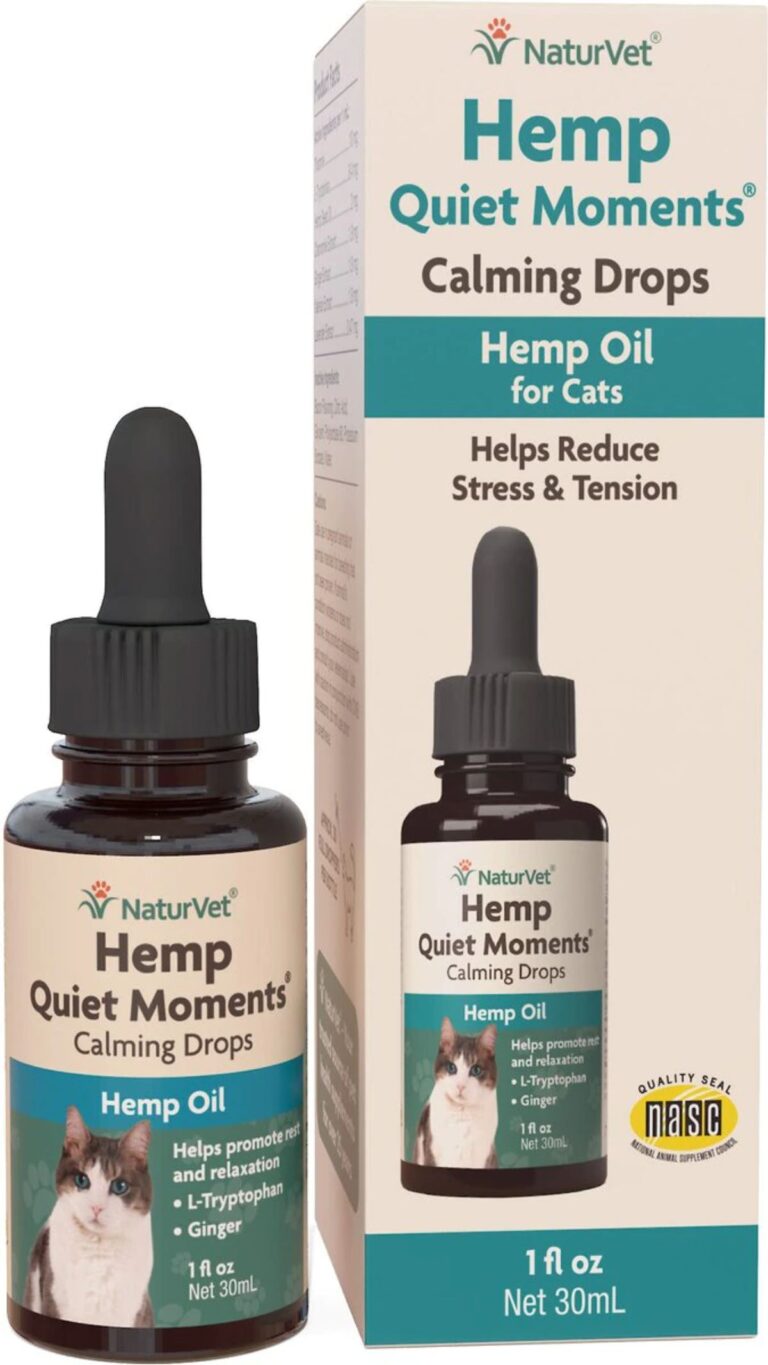 17 Calming Aids for Cats (Vet & Pet Approved) - MaineCoon.org