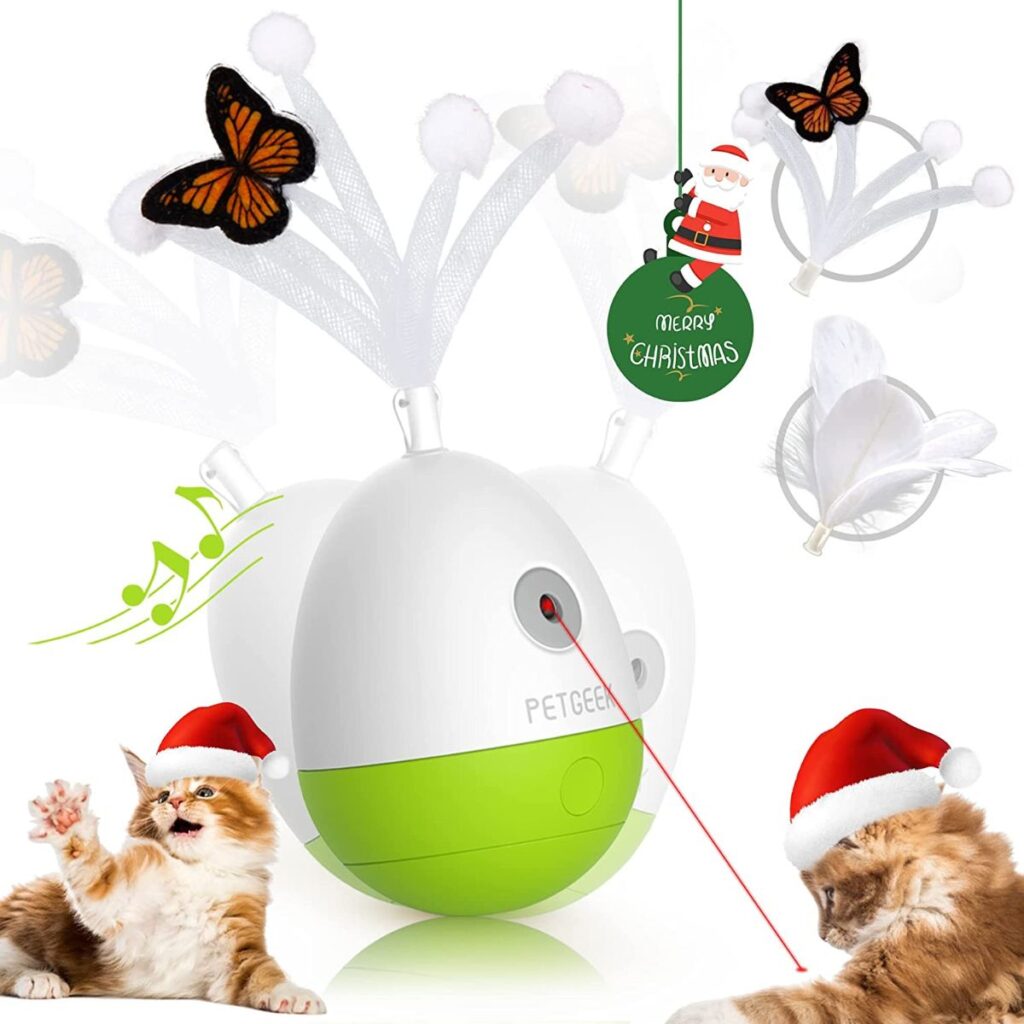 11 Best Laser Toys for Cats You'll Also Love - MaineCoon.org