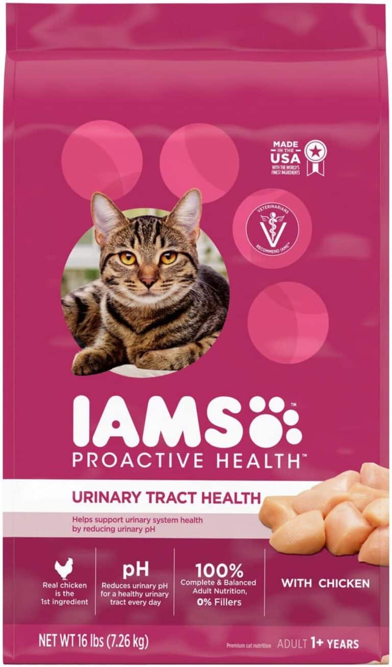 11 Best Foods for Your Cat's Urinary Health (Do’s and Don’ts ...