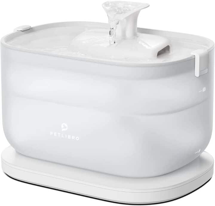 8 Best Water Fountains for Cats (+ Why They're Important)